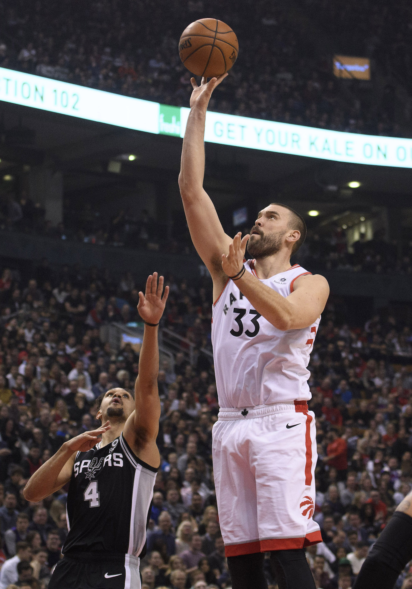 Marc Gasol Opts In With Raptors For 2019/20 | Hoops Rumors